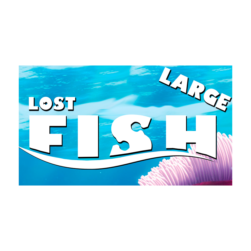 Lost Fish (Large) by Aprendemagia - Le Bazar de la magie